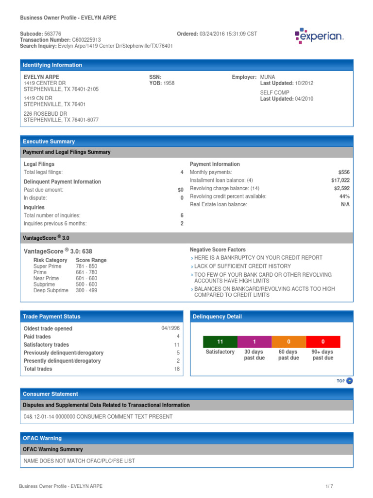 Experian Business Owner Profile Sample Report | PDF | Finance & Money ...
