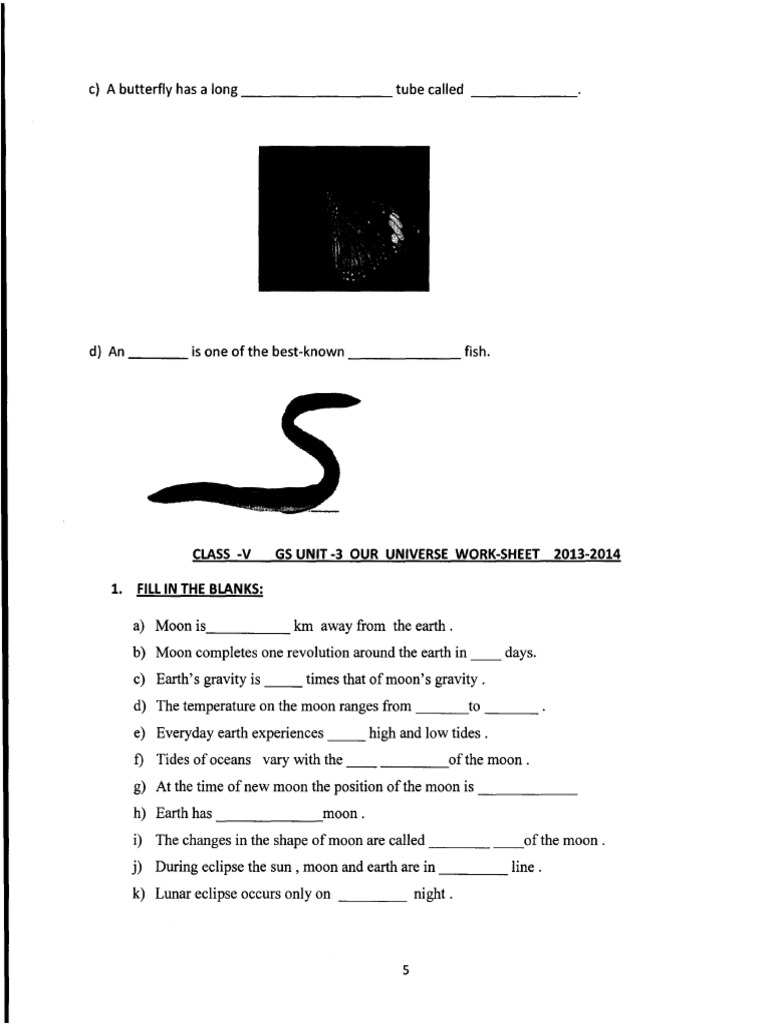 Our Universe Worksheet | PDF