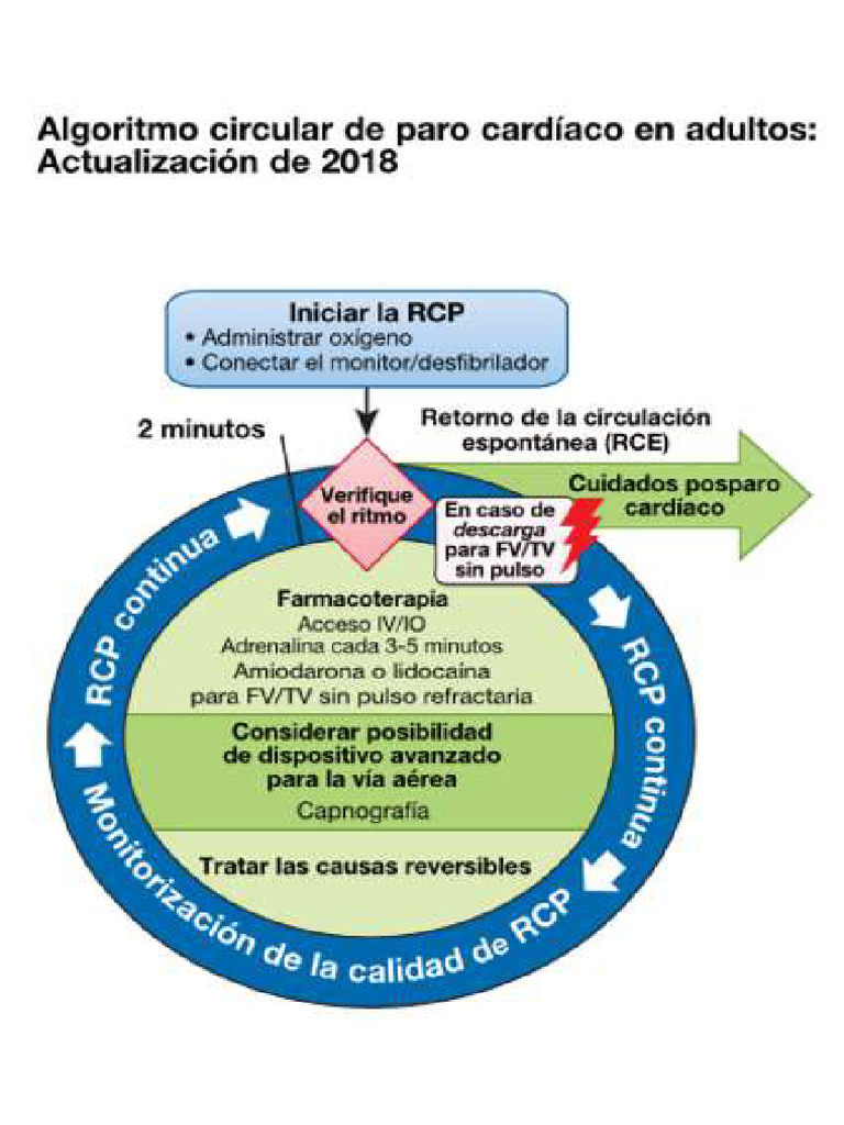 Algoritmos ACLS 2018 RCP_Taquicardia_Bradicardia | PDF