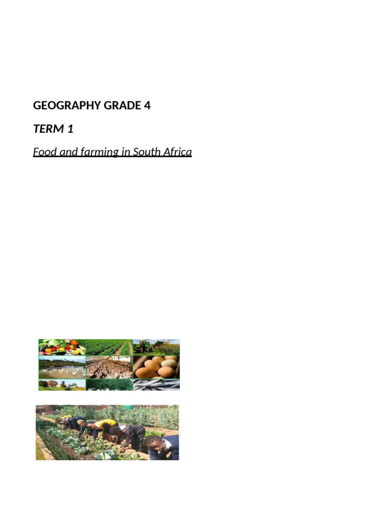 Grade 4 Geography: Food & Farming SA | PDF