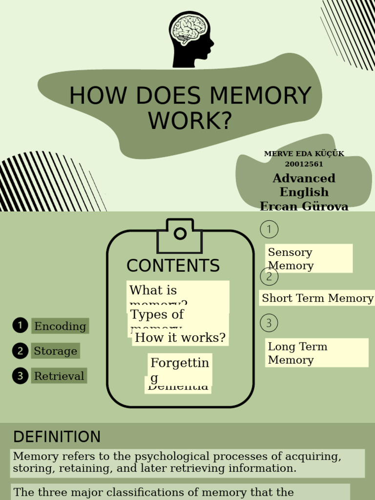 HOW DOES MEMORY WORK - Merve Eda Küçük | PDF | Memory | Dementia