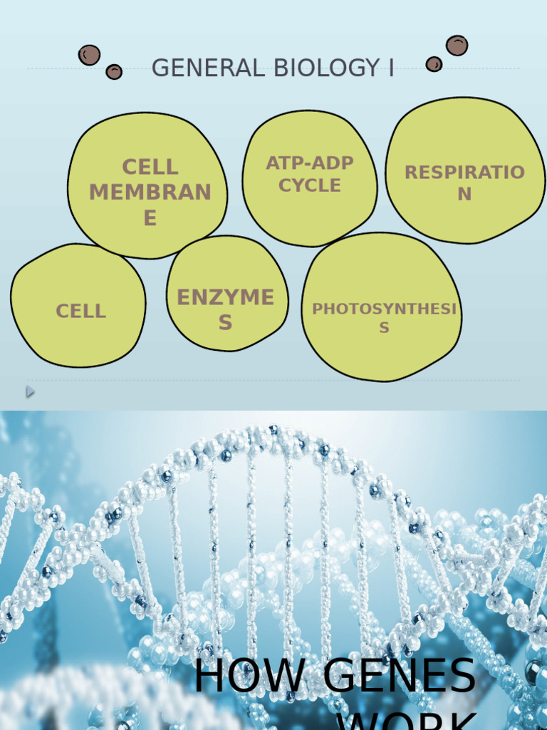 HOW GENES WORK | PDF | Dna | Gene