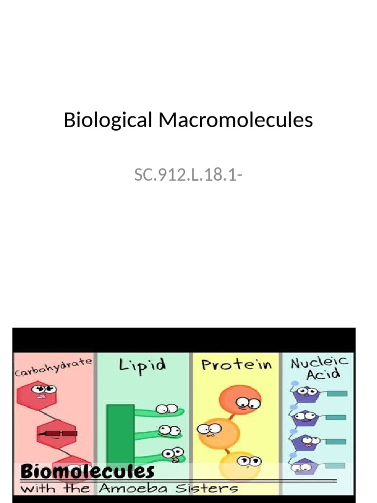 Biological Macromolecules Guide | PDF | Macromolecules | Nucleic Acids
