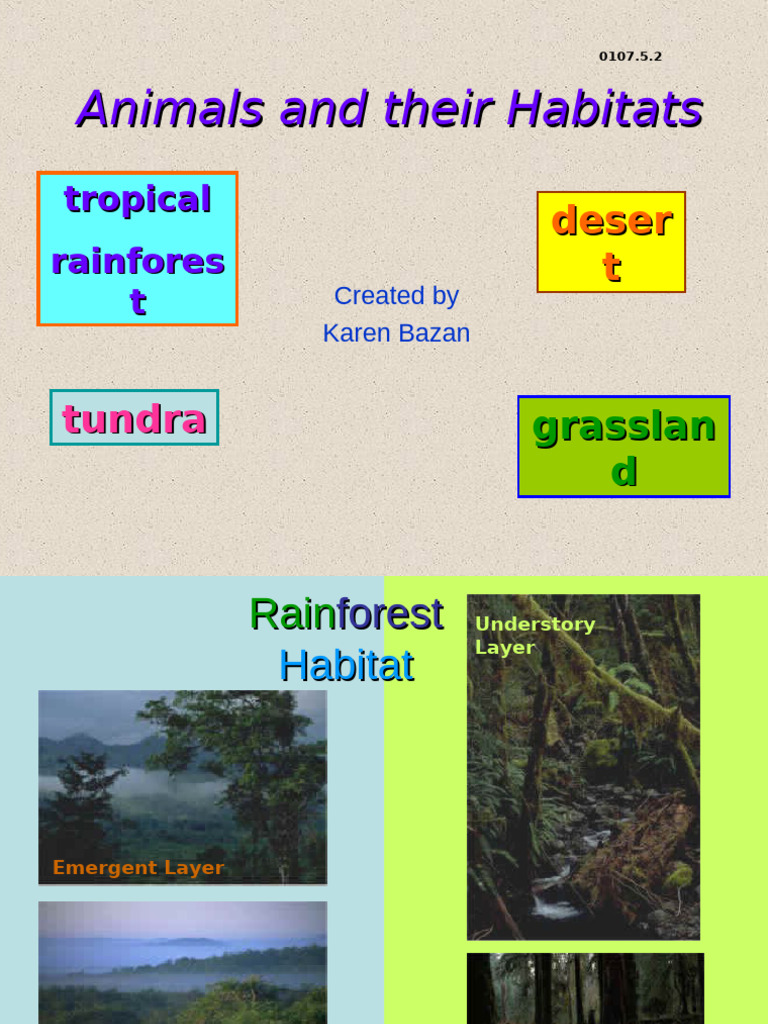 Animalhabitats 1 Stgrade | PDF
