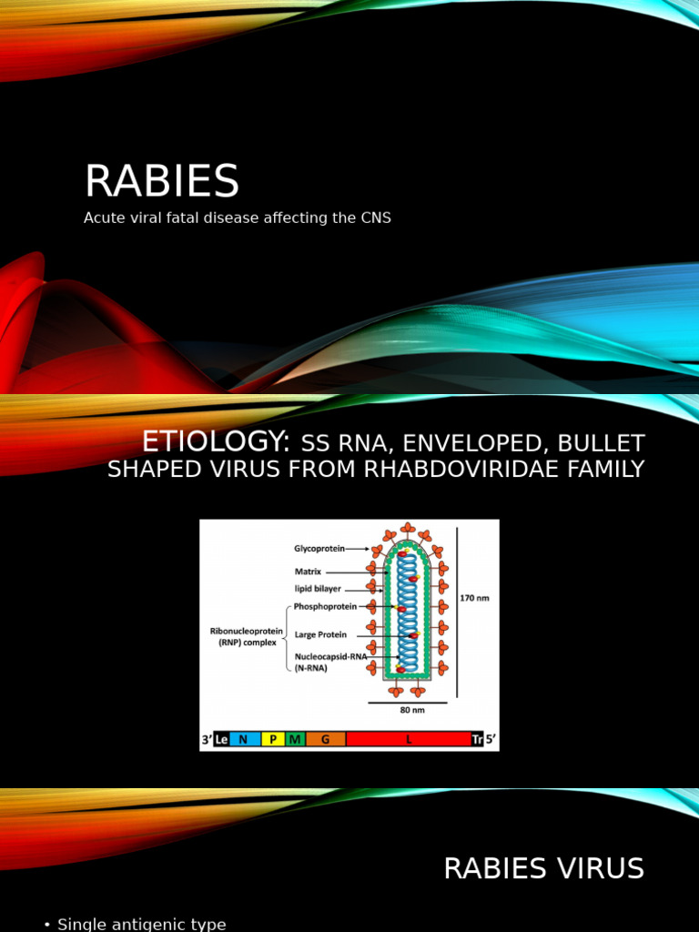 rabies 2 | PDF | Rabies | Virus