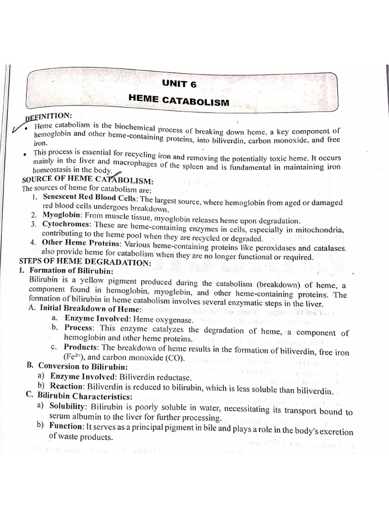 Bio Print | PDF