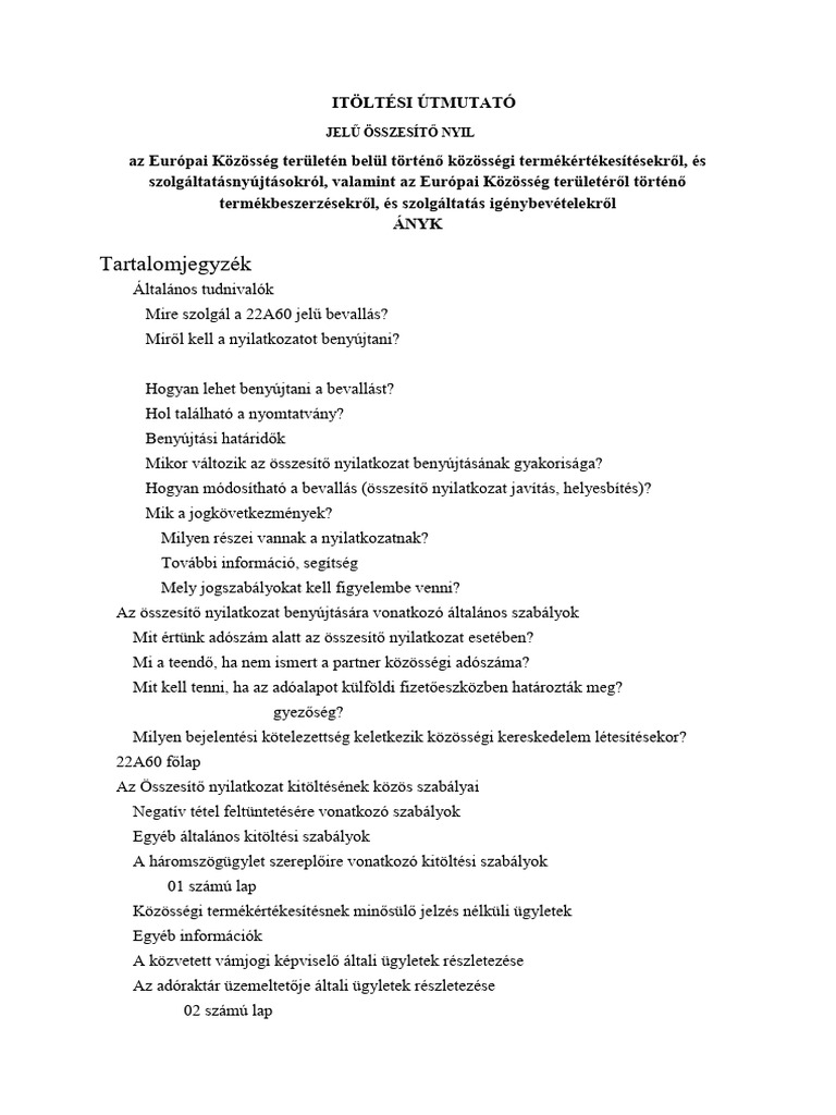 22a60 Kitöltési Útmutató 3.0 | PDF