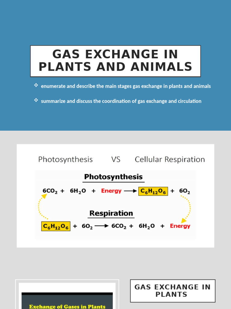 Gas Exchange in Plants and Animals | PDF
