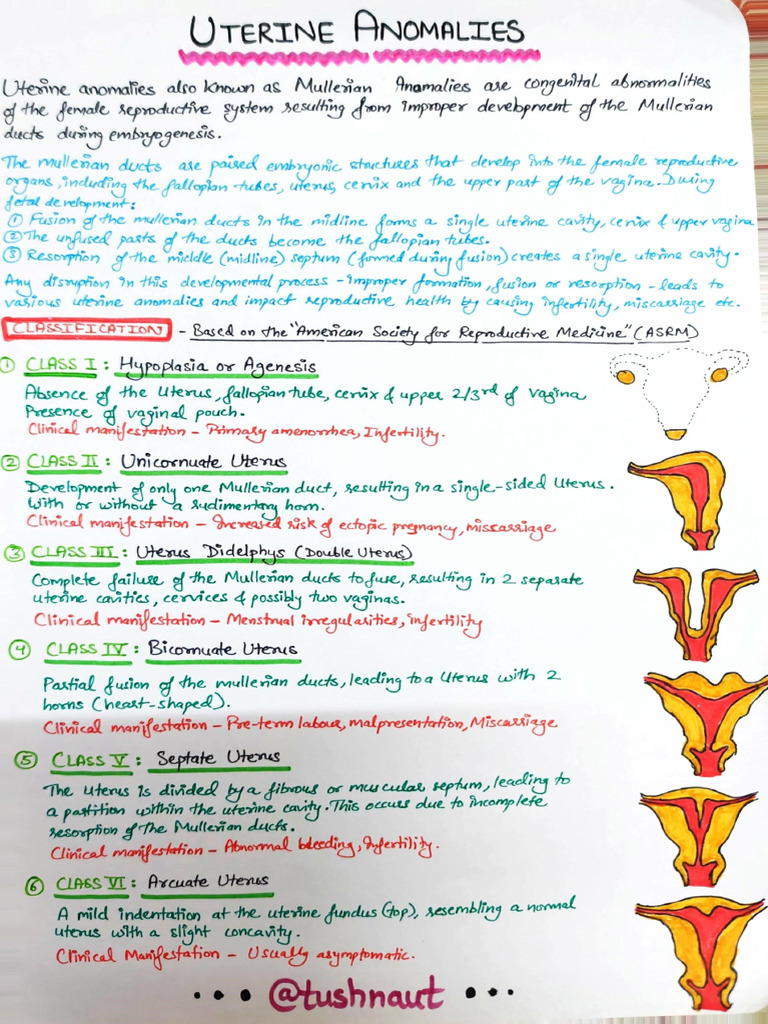 Uterine Anomalies | PDF | Mammal Female Reproductive System | Gynaecology