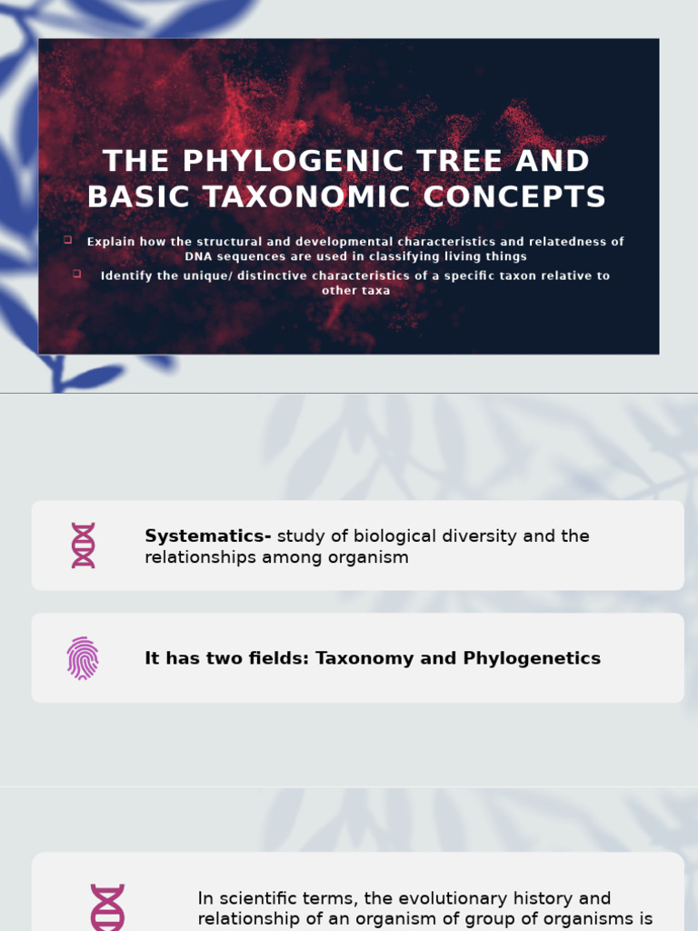 THE PHYLOGENIC TREE AND BASIC TAXONOMIC CONCEPTS | PDF | Phylogenetics | Phylogenetic Tree