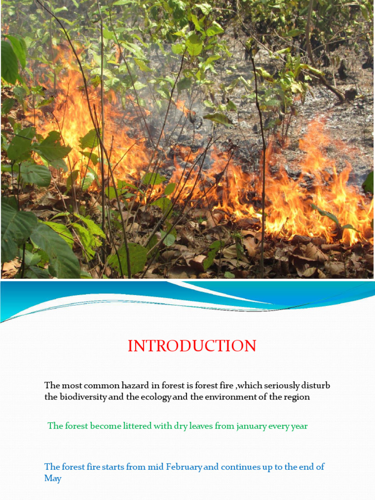 04-Adverse Influences On Forests - Legal Provisions For Forest Fire ...