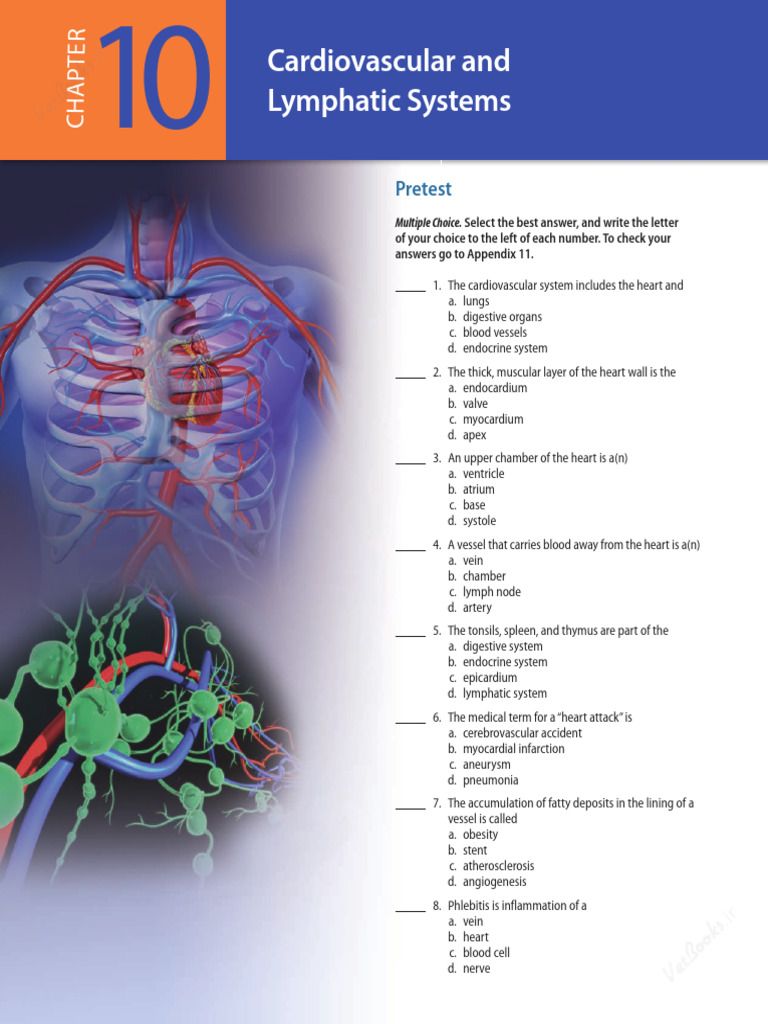 Medical Terminology - Lecture 10 | PDF | Heart Valve | Coronary Circulation
