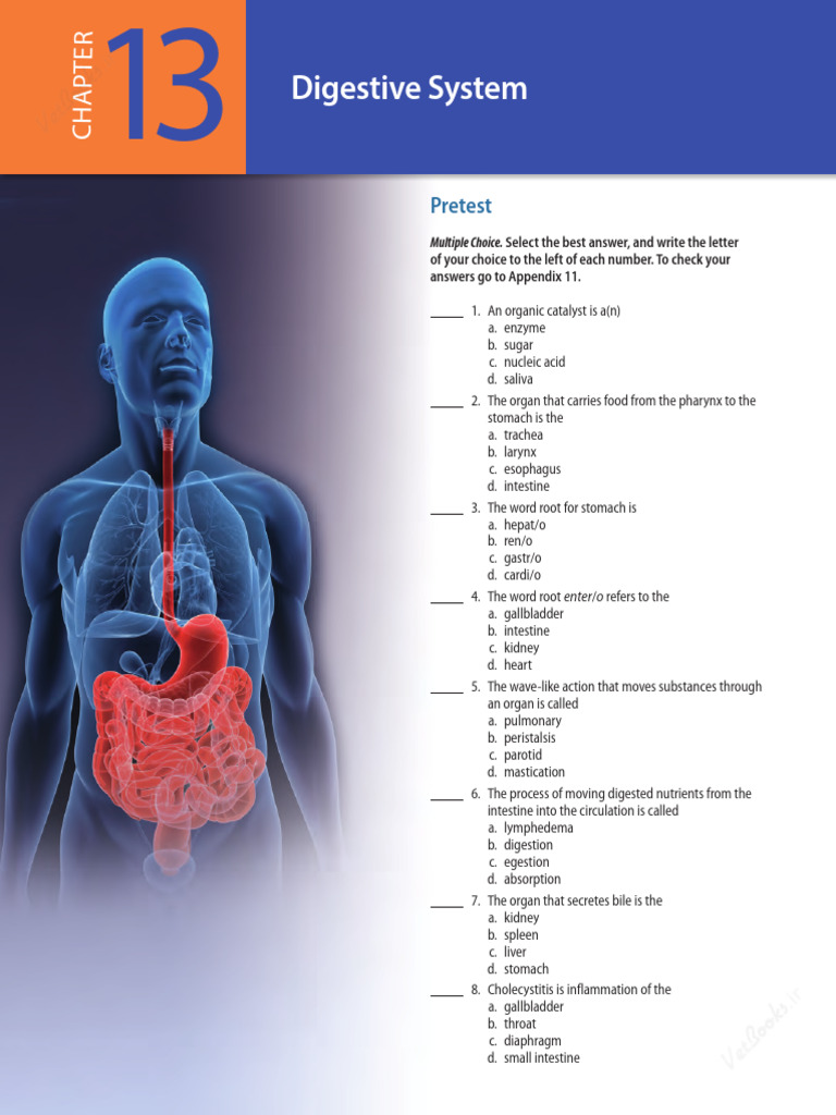 Medical Terminology Lecture 13 | PDF | Human Digestive System ...