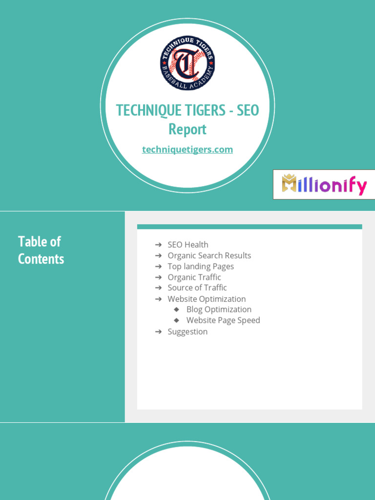 Technique Tiger Weekly SEO Report Jan 27 2025 | PDF