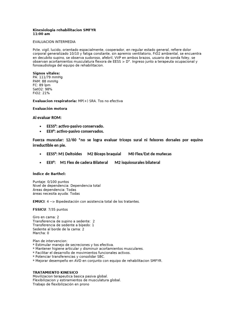 Evolucion Pcte Hospitalizado Tipo | PDF