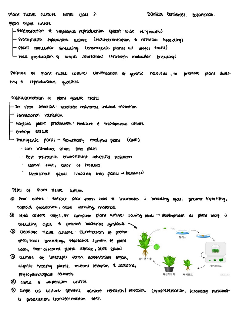 Notes Class 2 | PDF | Biological Processes | Plants