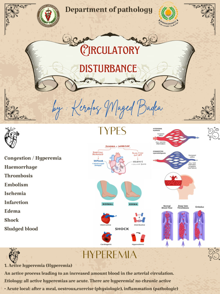 Circulatory Disturbance | PDF | Thrombus | Blood Vessel