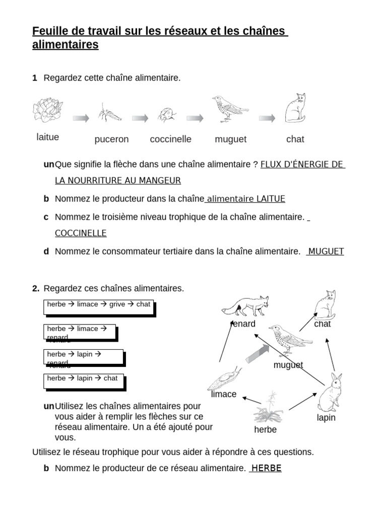 Feuilles de travail sur les réseaux alimentaires et les chaînes ...
