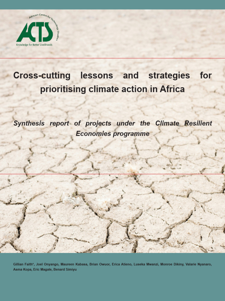 CRE Synthesis Report | PDF | Sustainability | Climate Resilience