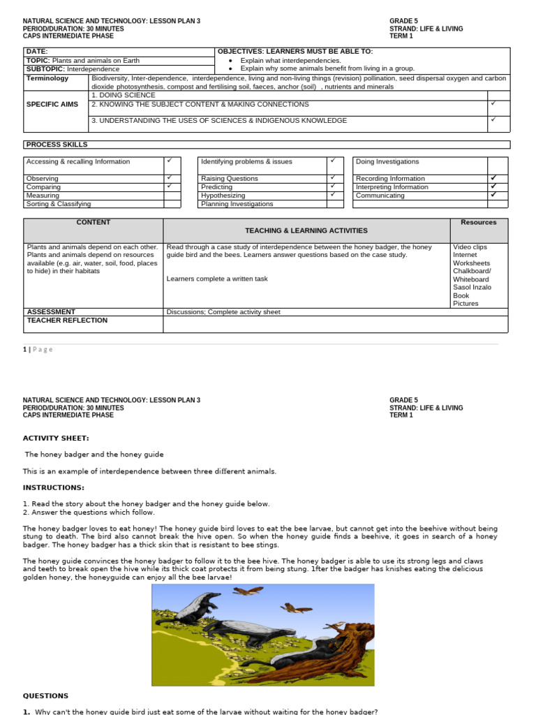 Grade 5 Lesson Plan: Interdependence in Nature | PDF | Beehive | Honey