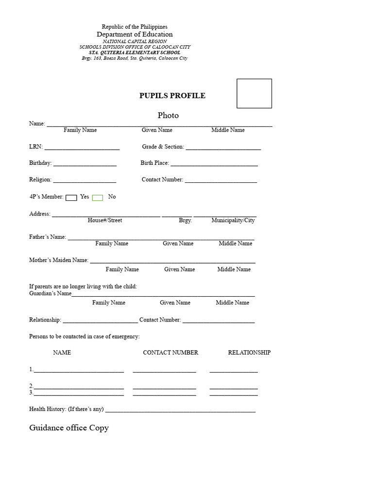 Pupils Profile | PDF