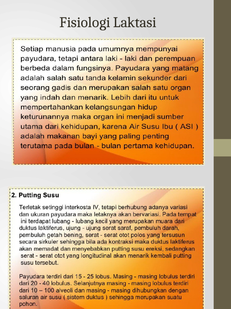 Fungsi Laktasi | PDF