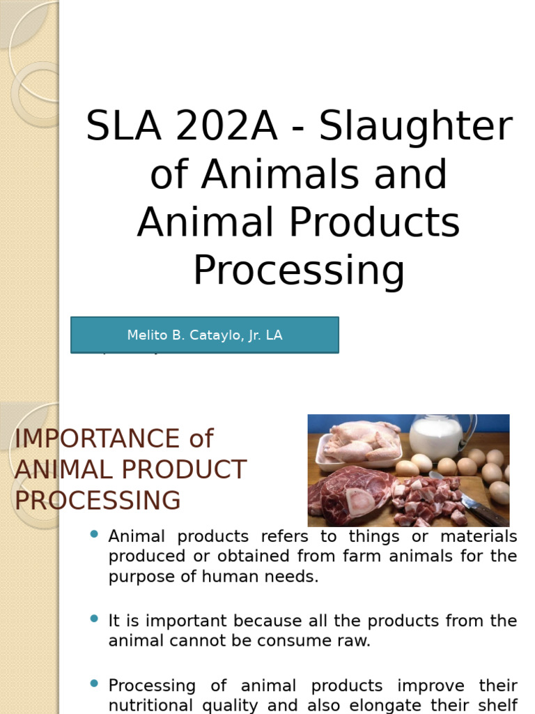 Importance of Meat Processing | PDF | Meat | Poultry