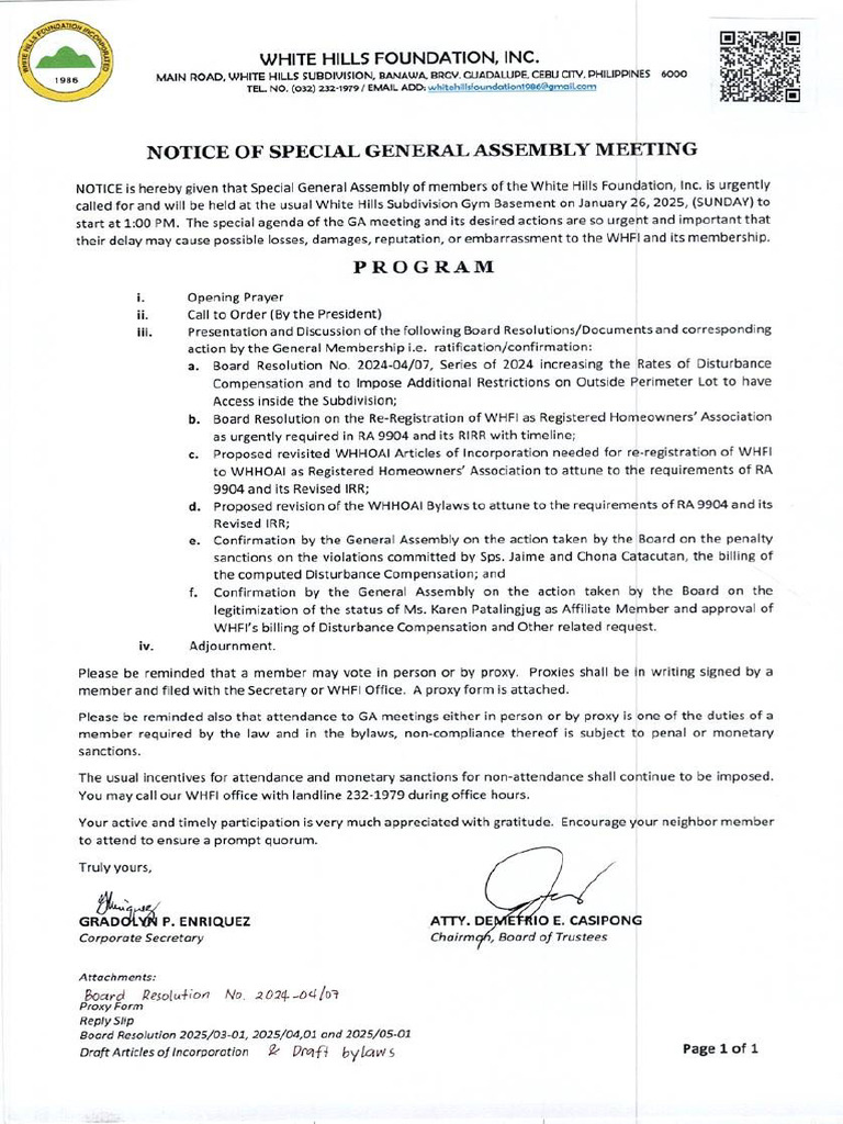 Special General Assembly 2025 Documents - Jan.26, 2025 | PDF
