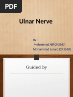 Ureter Kinking: CT Findings and Significance | PDF | Kidney ...