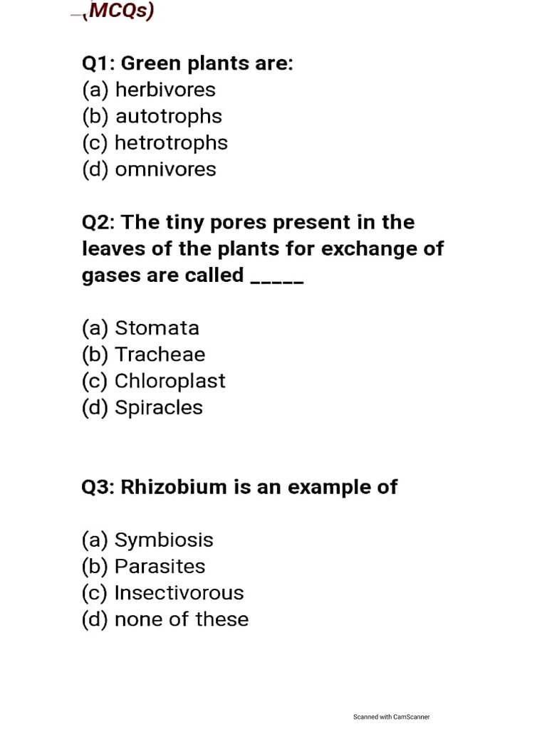 7grde Biology Practice Paper | PDF