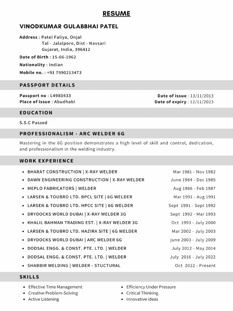 VINOD PATEL RESUME | PDF
