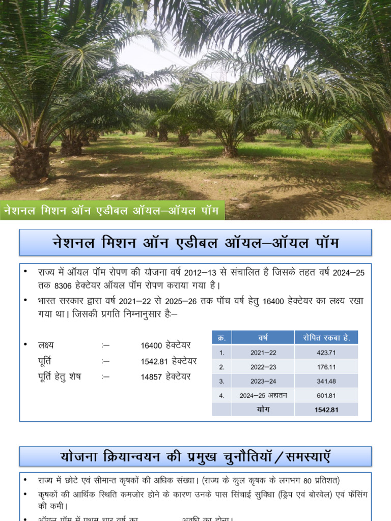 Oil Palm Note | PDF