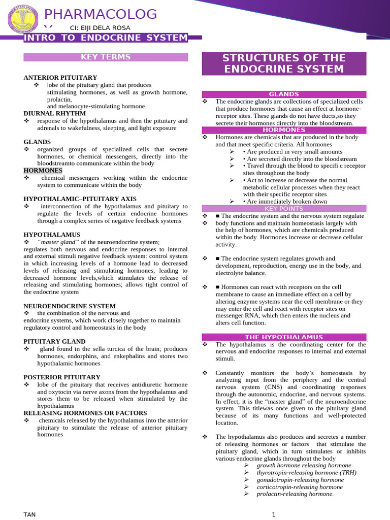 Endocrine System Overview and Functions | PDF | Pituitary Gland ...
