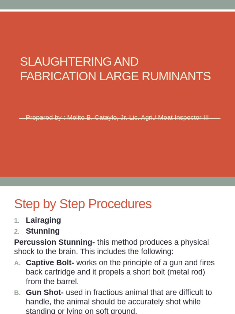 Large Ruminant Slaughter Guide | PDF