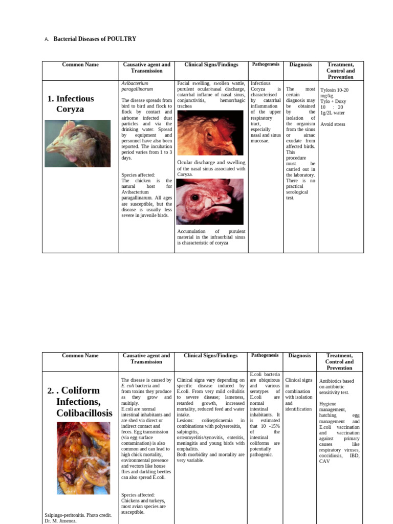 Internal Parasite of Poultry Partial | PDF | Infection | Influenza