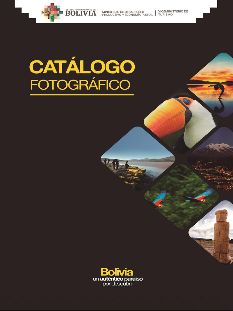 CATALOGO-FOTOGRAFICO | PDF