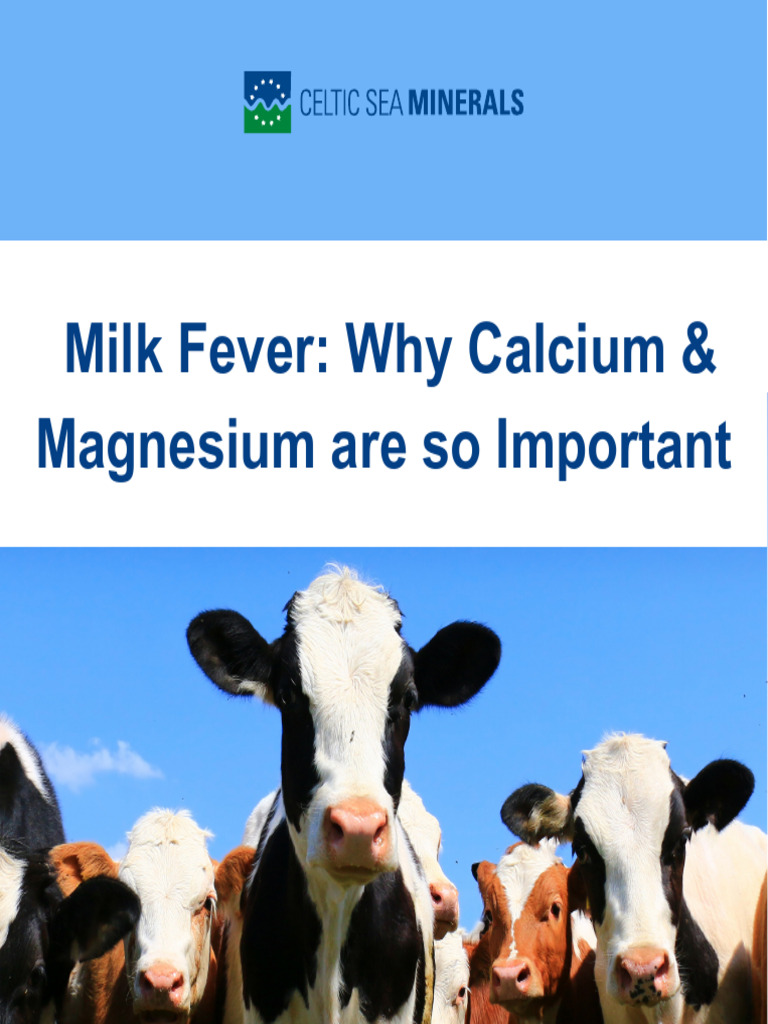 Milk Fever - Why Calcium & Magnesium Are So Importa - 240213 - 100956 | PDF