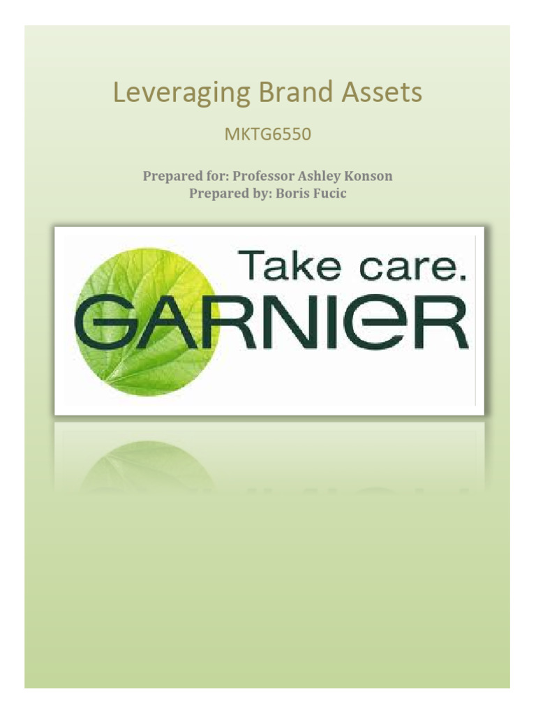 Garnier Brand Strategy Overview | PDF | Brand | Shaving