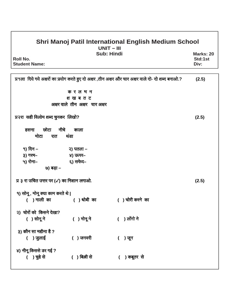 Hindi Paper | PDF