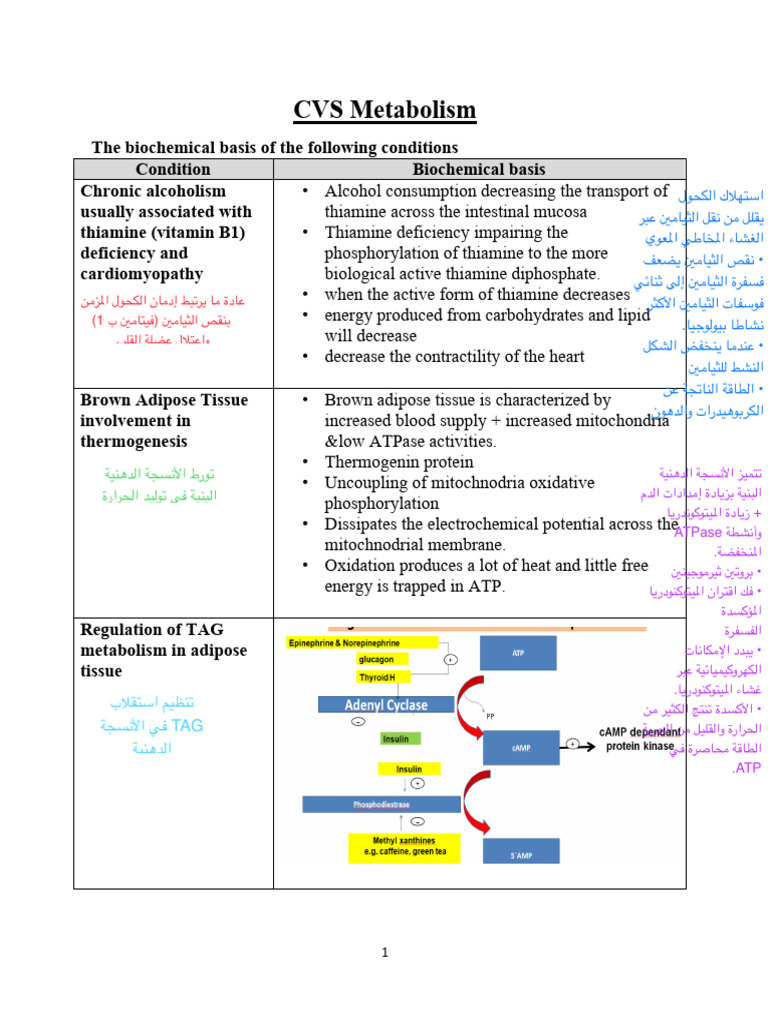 CVS Module Biochemistry Aspects 23-24 | PDF