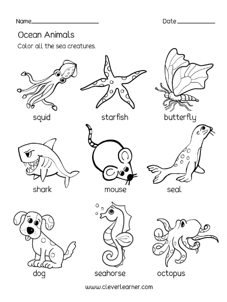 Ocean Animals Color Worksheet Preschool | PDF