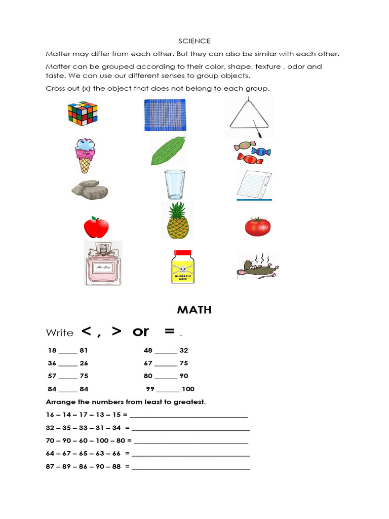 SSES - Activities (1) | PDF