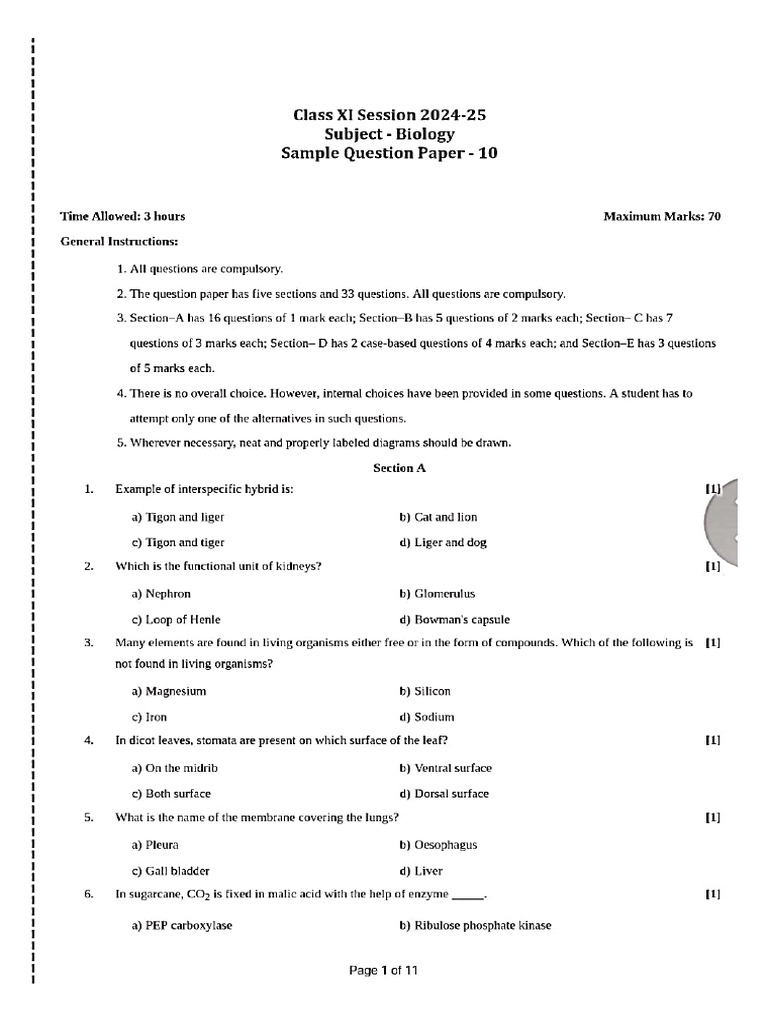DocScanner Jan 22, 2025 2-07 PM | PDF