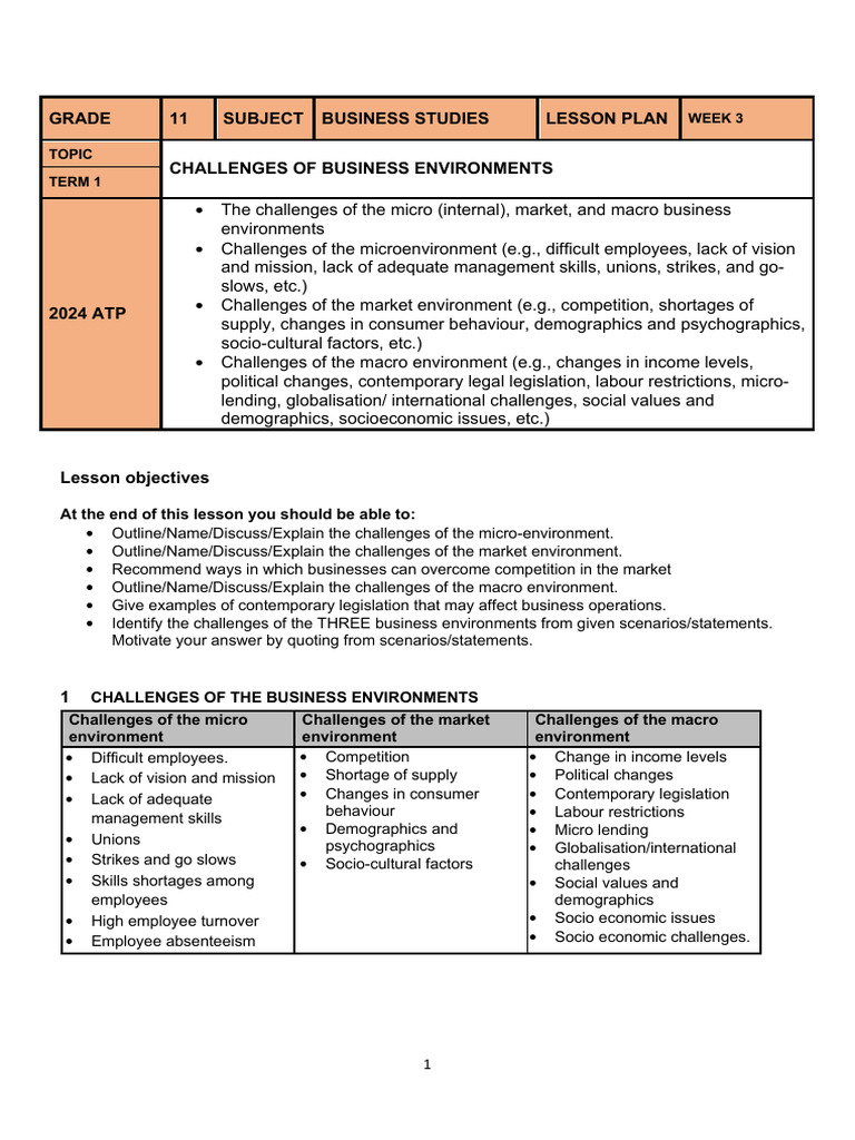 2024 Grade 11 Business Studies Lesson Plan T1 Week 3 To 5 | PDF ...