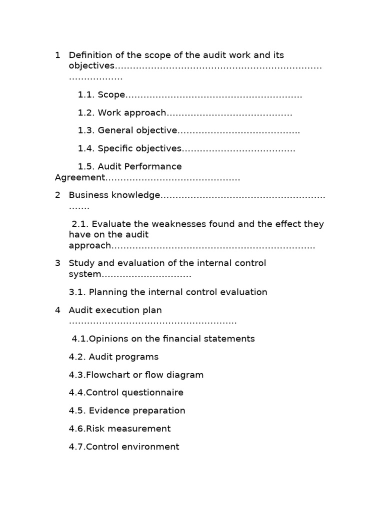 System Audit Plan | PDF | Internal Control | Audit