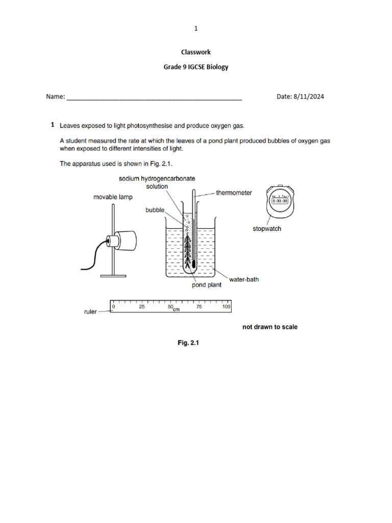 Grade 9 - Classwork - HW | PDF