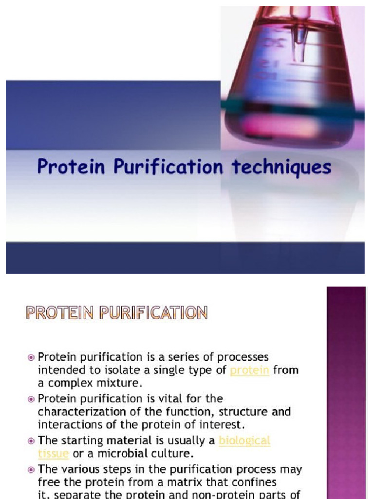 Protein Purification | PDF