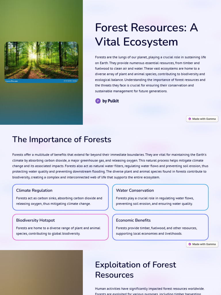 Forest Resources A Vital Ecosystem | PDF | Deforestation | Forest ...