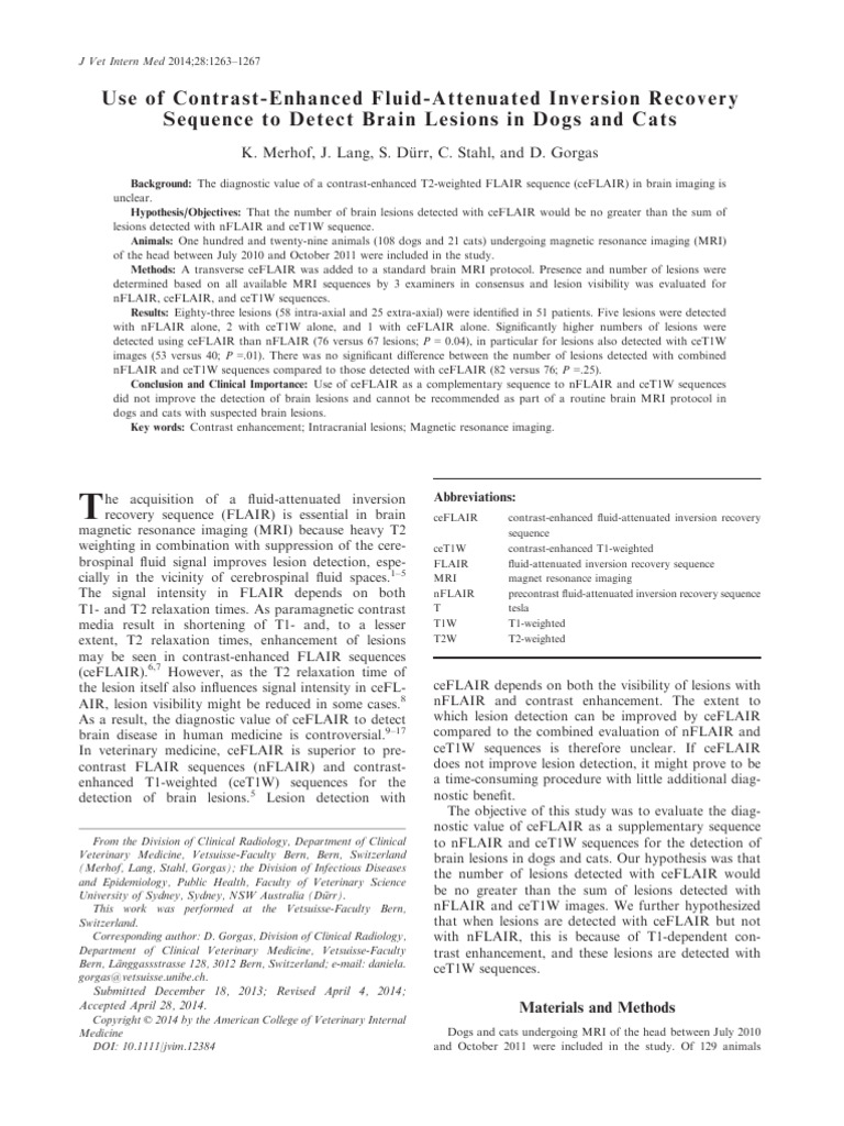 Merhof Et Al (2004) Use of Contrast-Enhanced Fluid-Attenuated Inversion ...