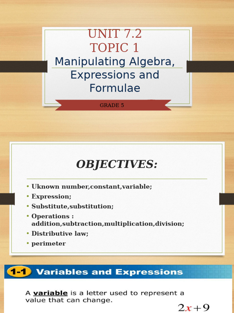Grade 5 Algebra Expressions Guide | PDF